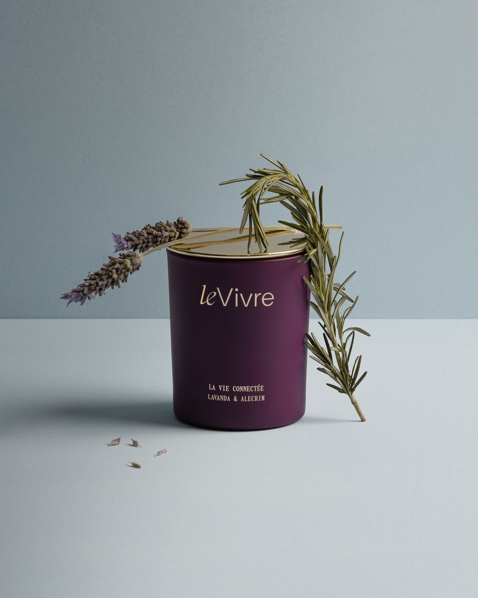 LeVivre • Polar, Ltda.